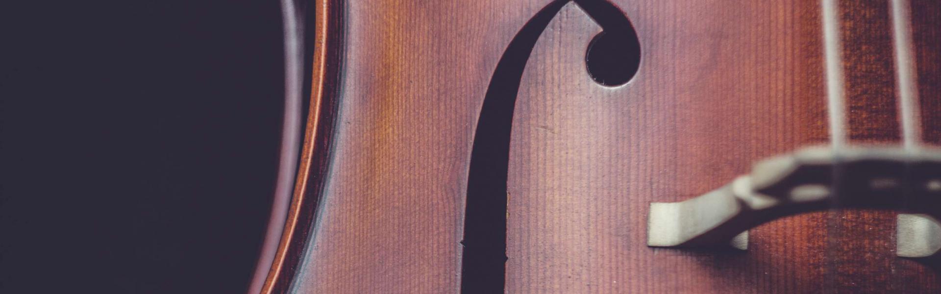 Donate Instruments - West-Eastern Divan Orchestra